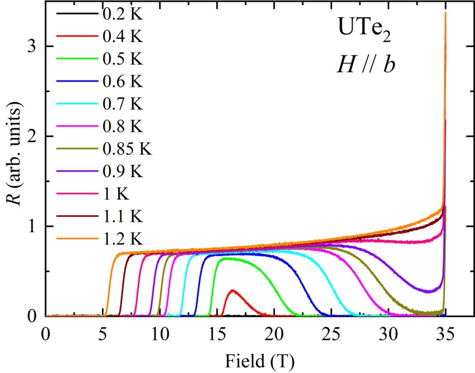 LNCMI – Heavy fermions